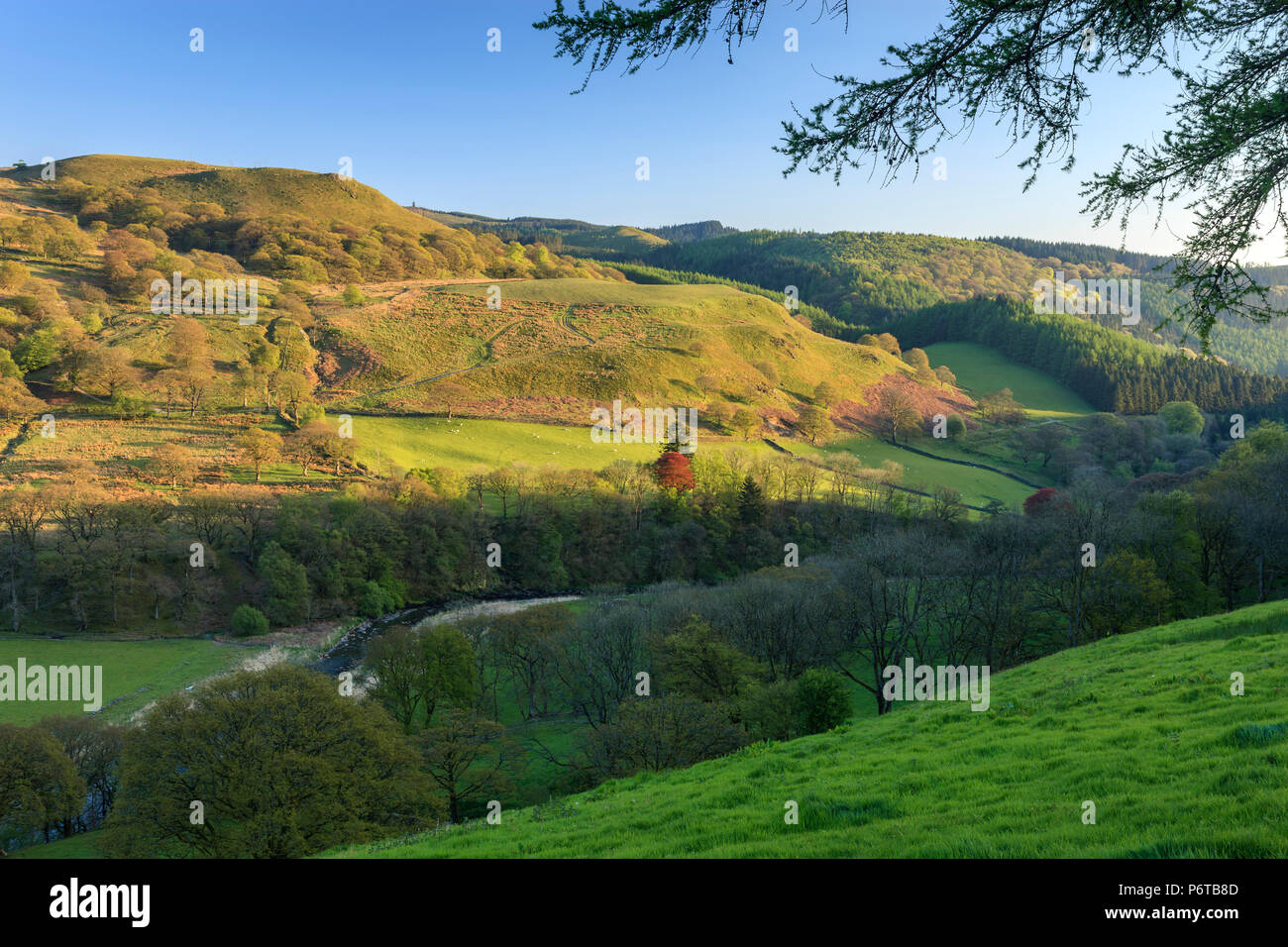 Cwmystwyth near Devil's Bridge and Pont-rhyd-y-groes Ceredigion Wales ...