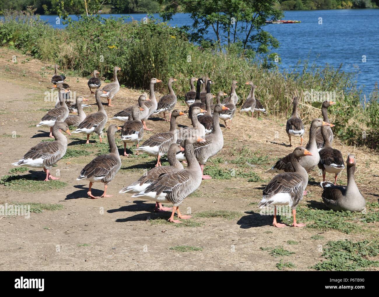 Deep lakes hi-res stock photography and images - Alamy