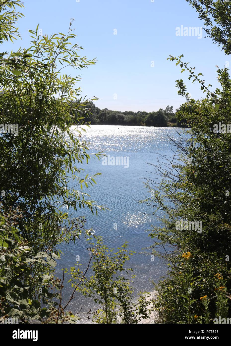 View of Lakes , Leybourne Lakes , Kent Stock Photo - Alamy