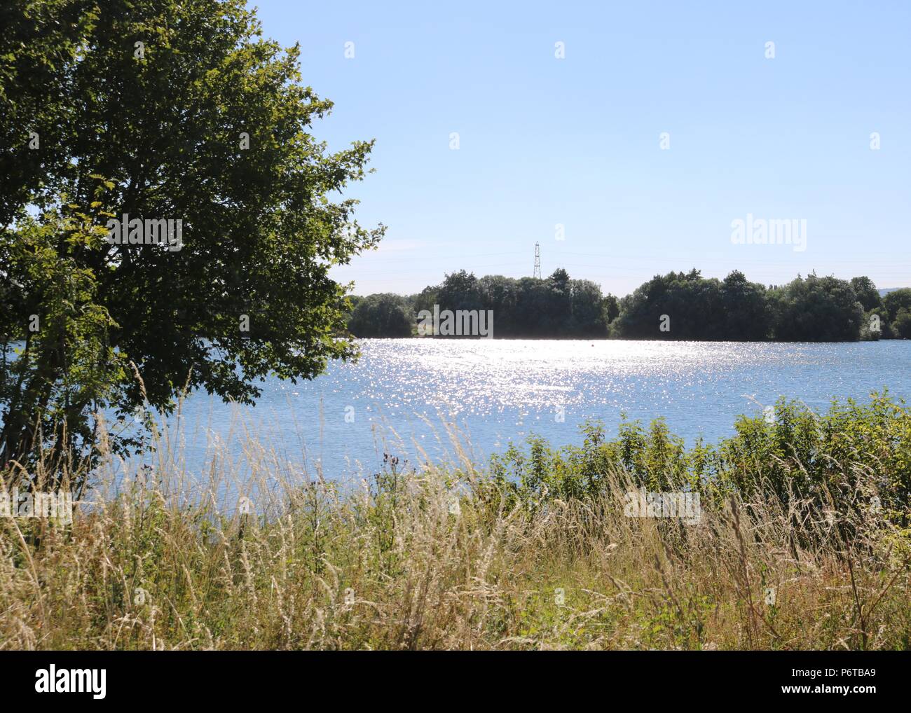 Sky trees and lakes hi-res stock photography and images - Alamy