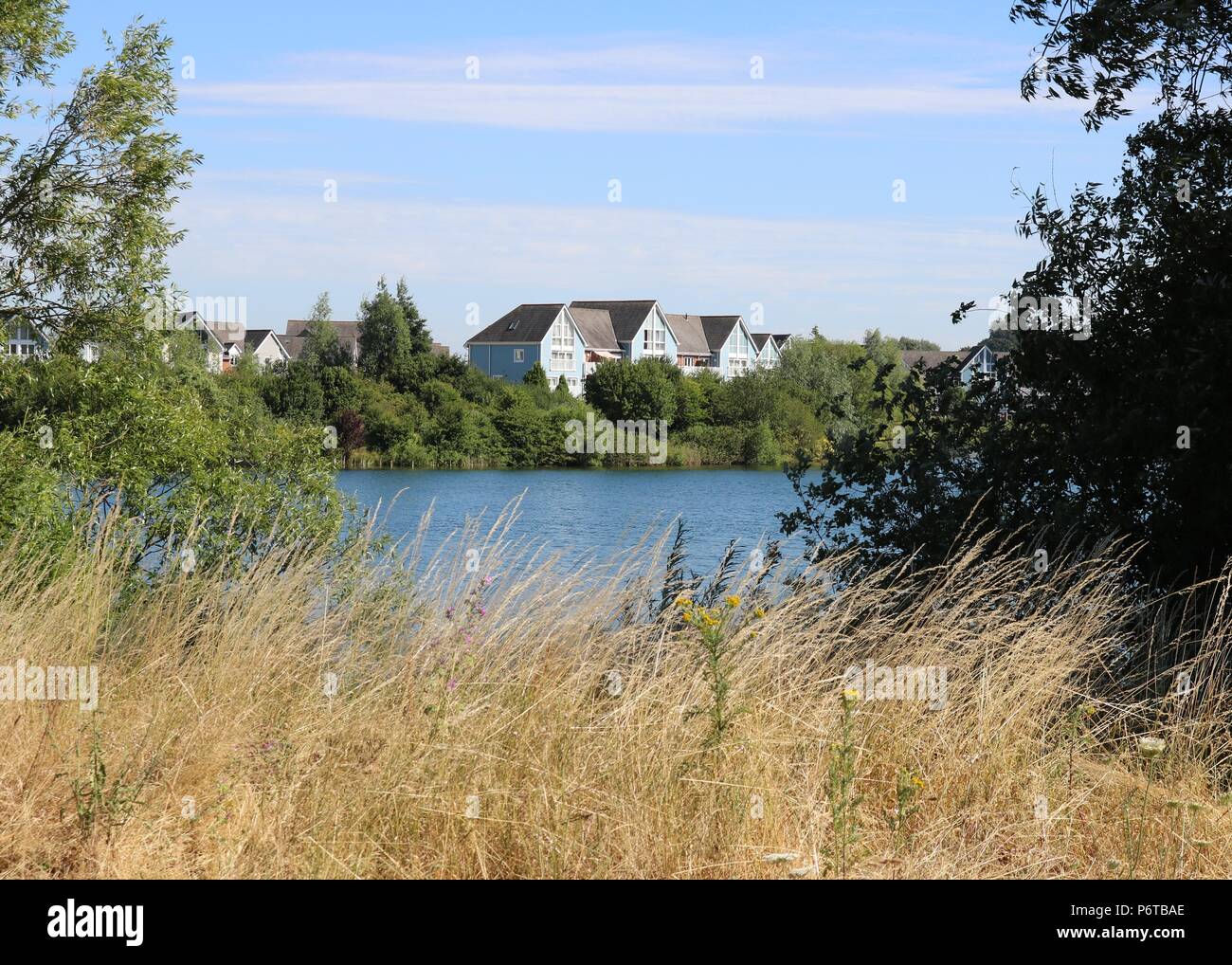 Waterside shrub hi-res stock photography and images - Alamy