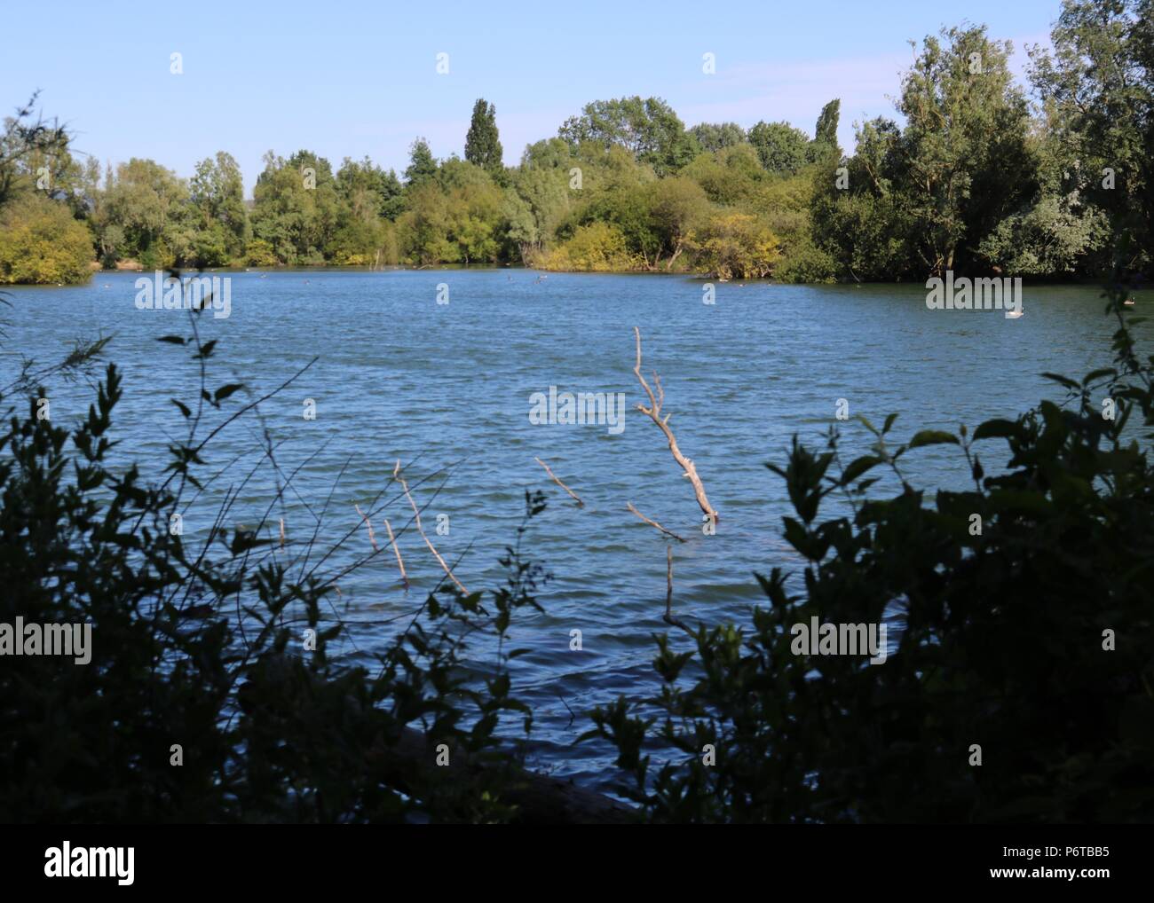 View of Lakes , Leybourne Lakes , Kent Stock Photo - Alamy
