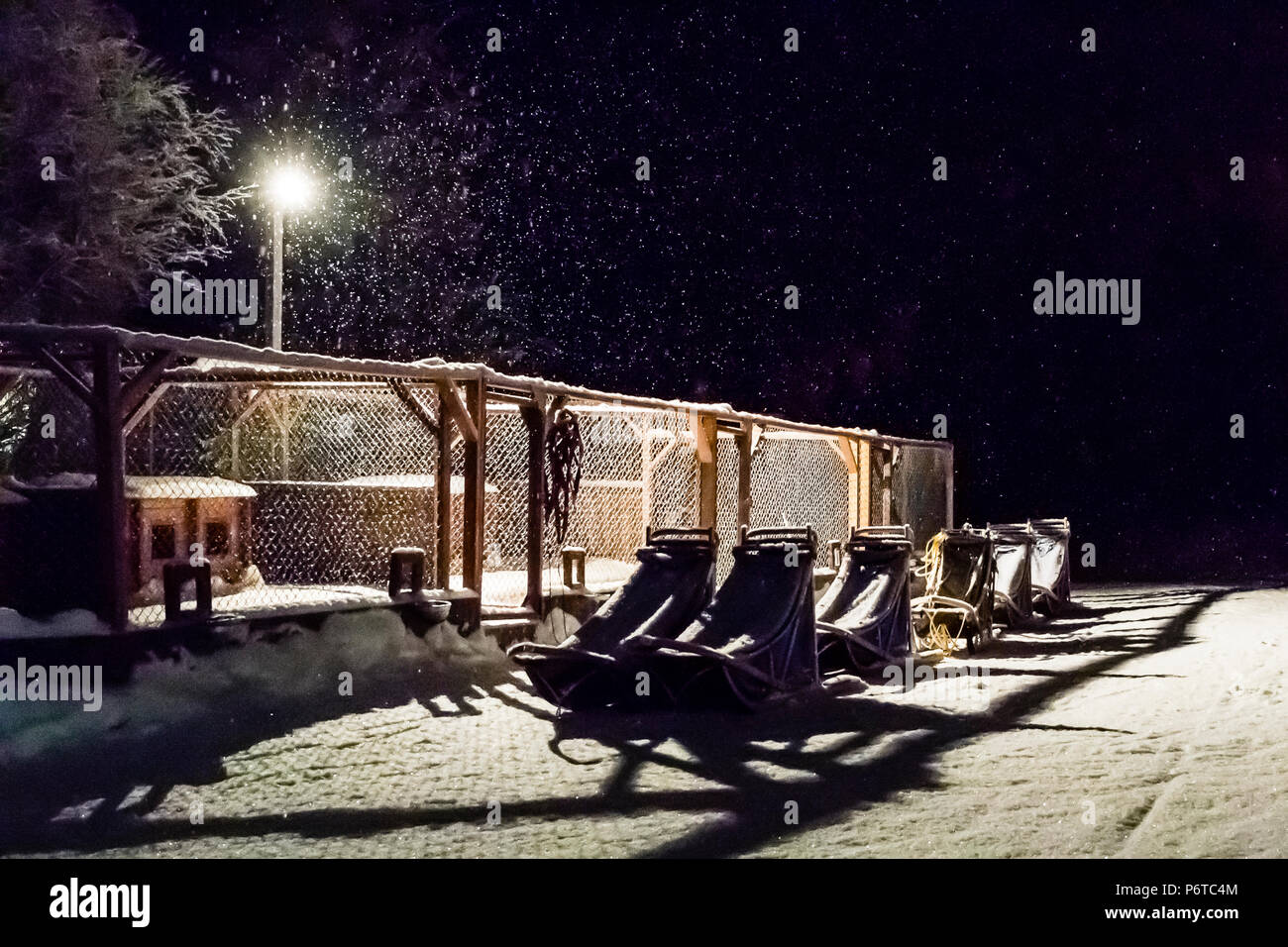 Six sled on white snow in the night in Kiruna Sweden Stock Photo - Alamy