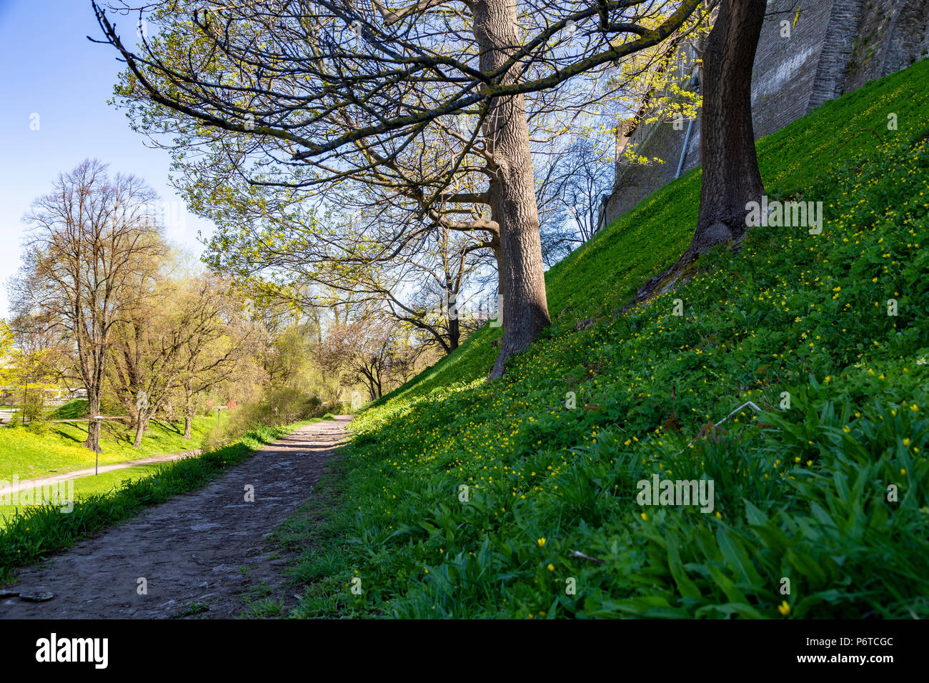 Park in Tallin, Estonia Stock Photo - Alamy