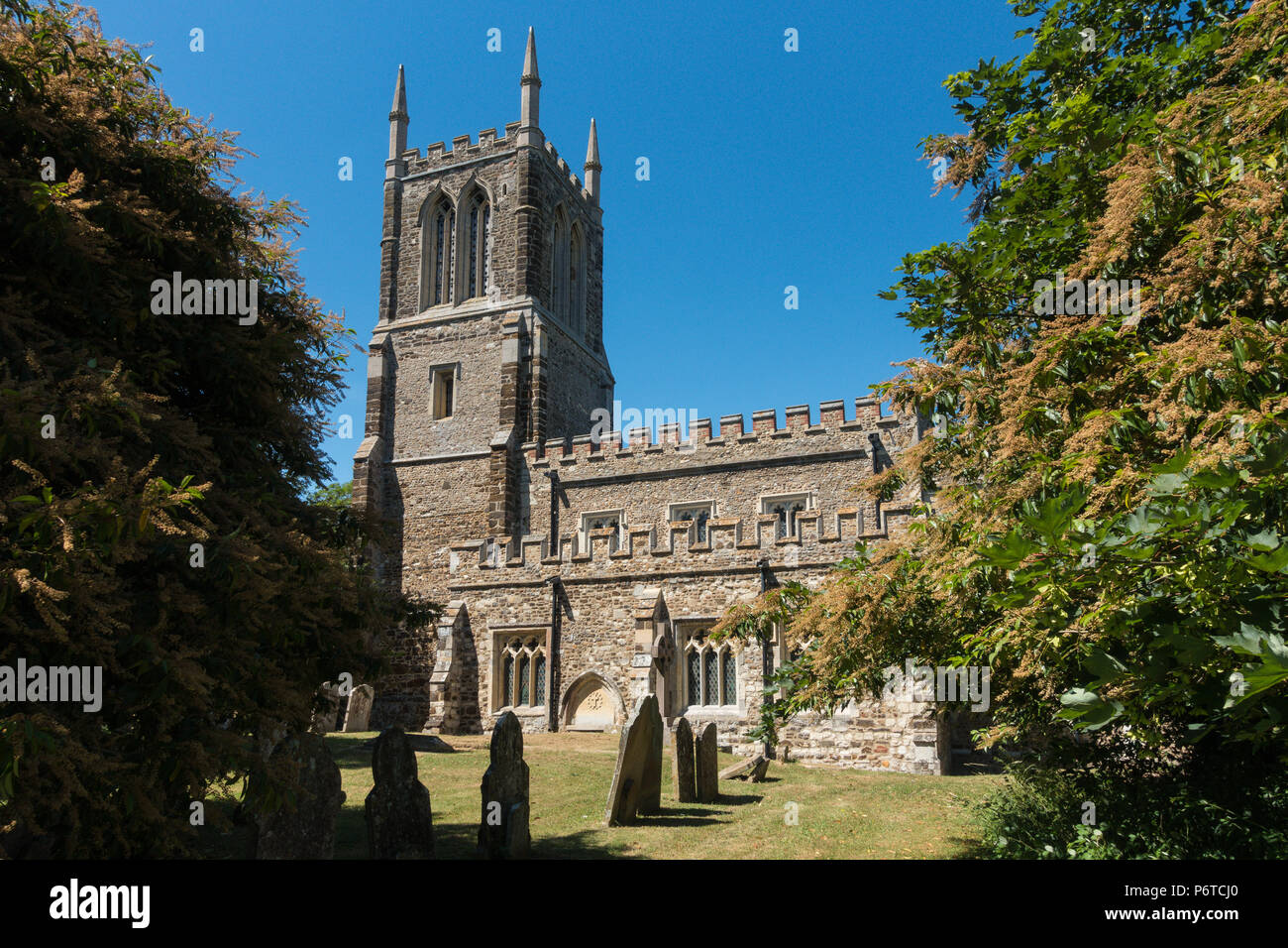 Cockayne hi-res stock photography and images - Alamy