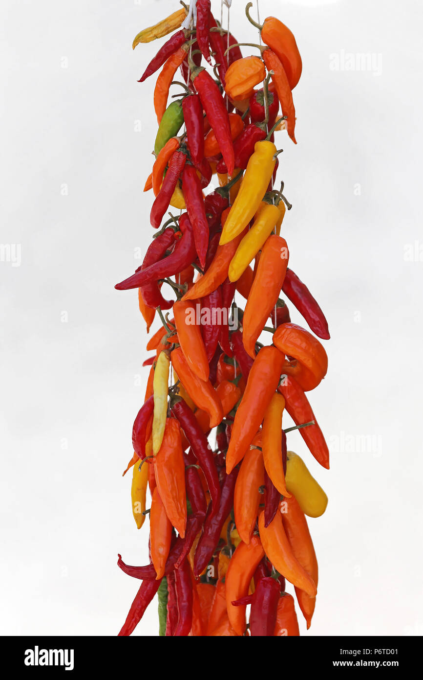 Spicy hot chili peppers at string Stock Photo - Alamy