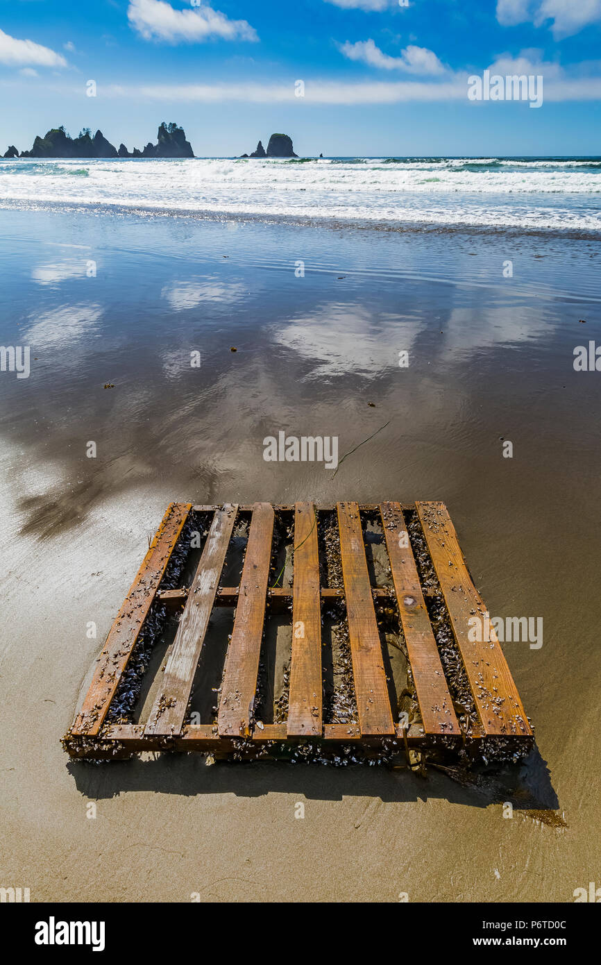 Wooden pallet that has been at sea for a while, as evidenced by its ...