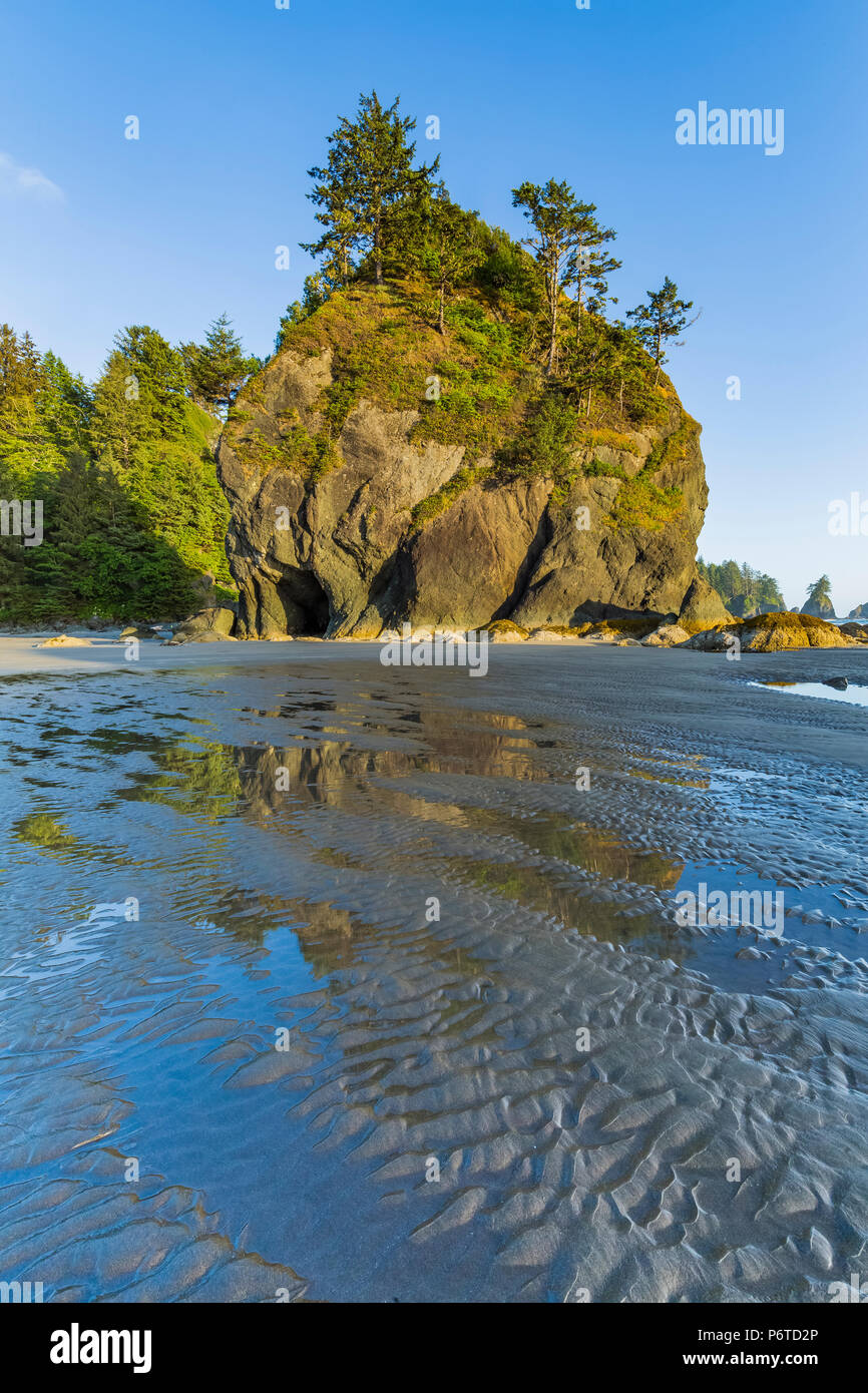 Salt point state park tide pool hi-res stock photography and images - Alamy