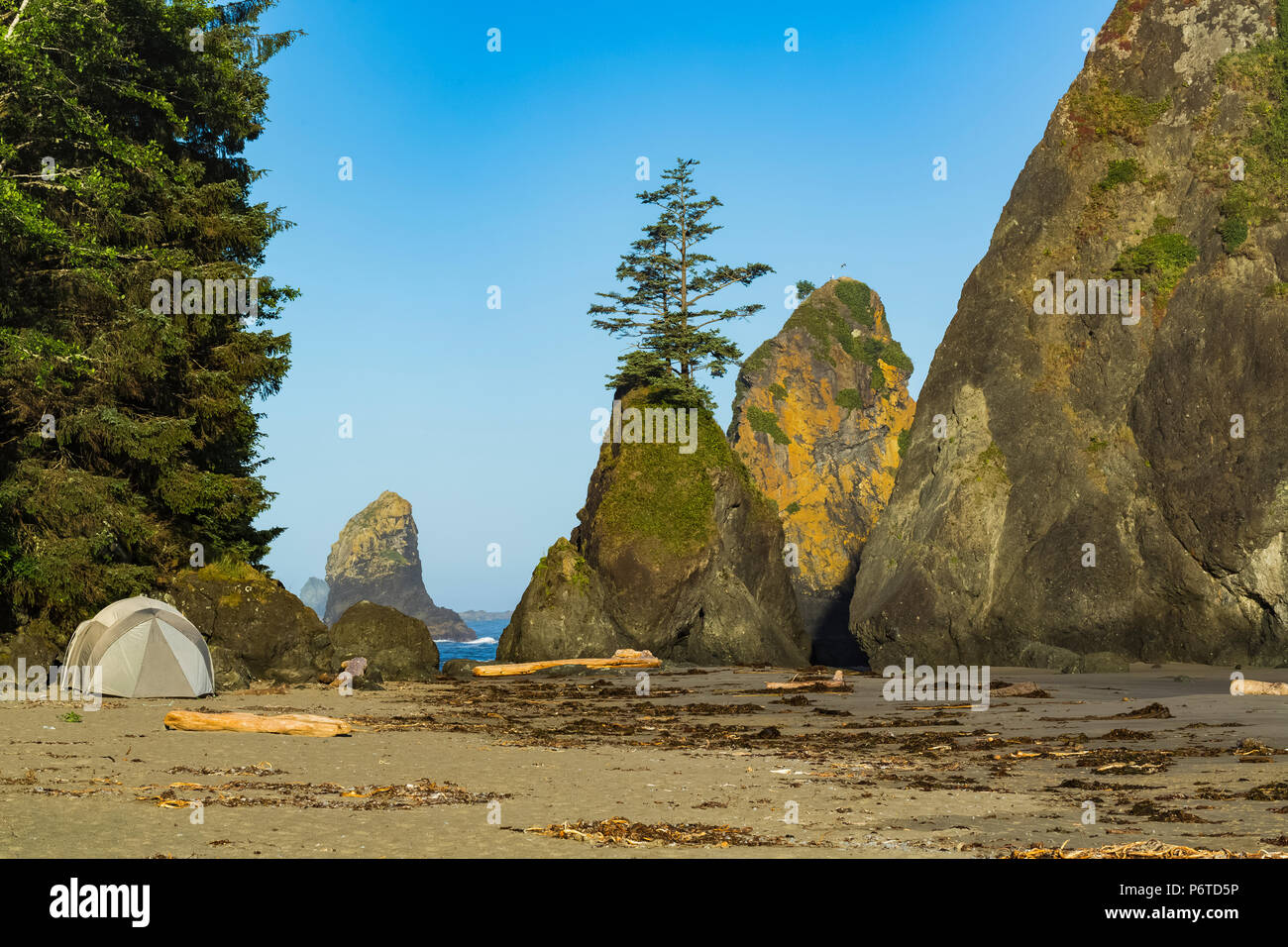 Rock formations of Point of Arches along Shi Shi Beach at low tide ...