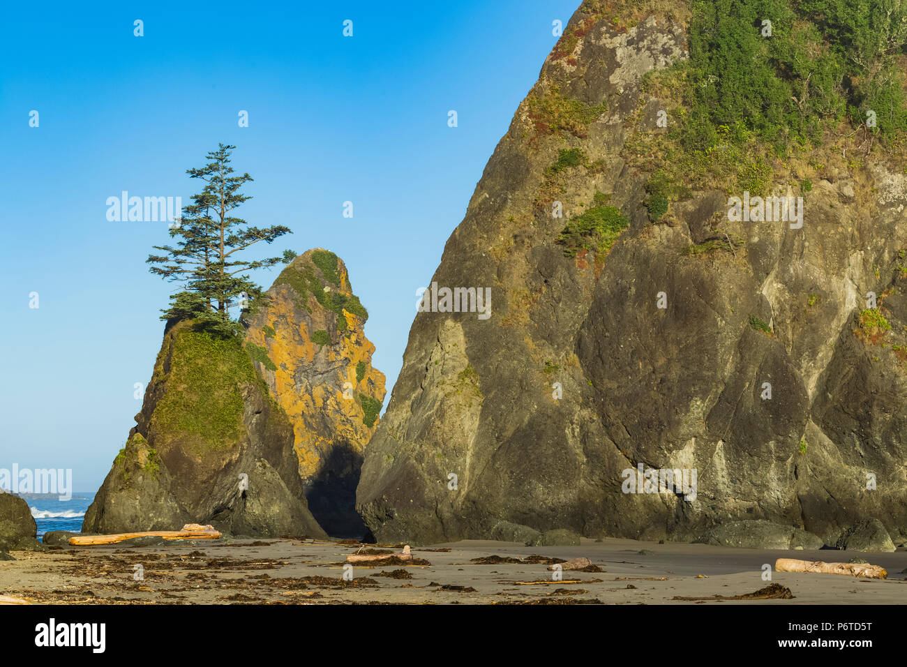 Rock formations of Point of Arches along Shi Shi Beach at low tide ...