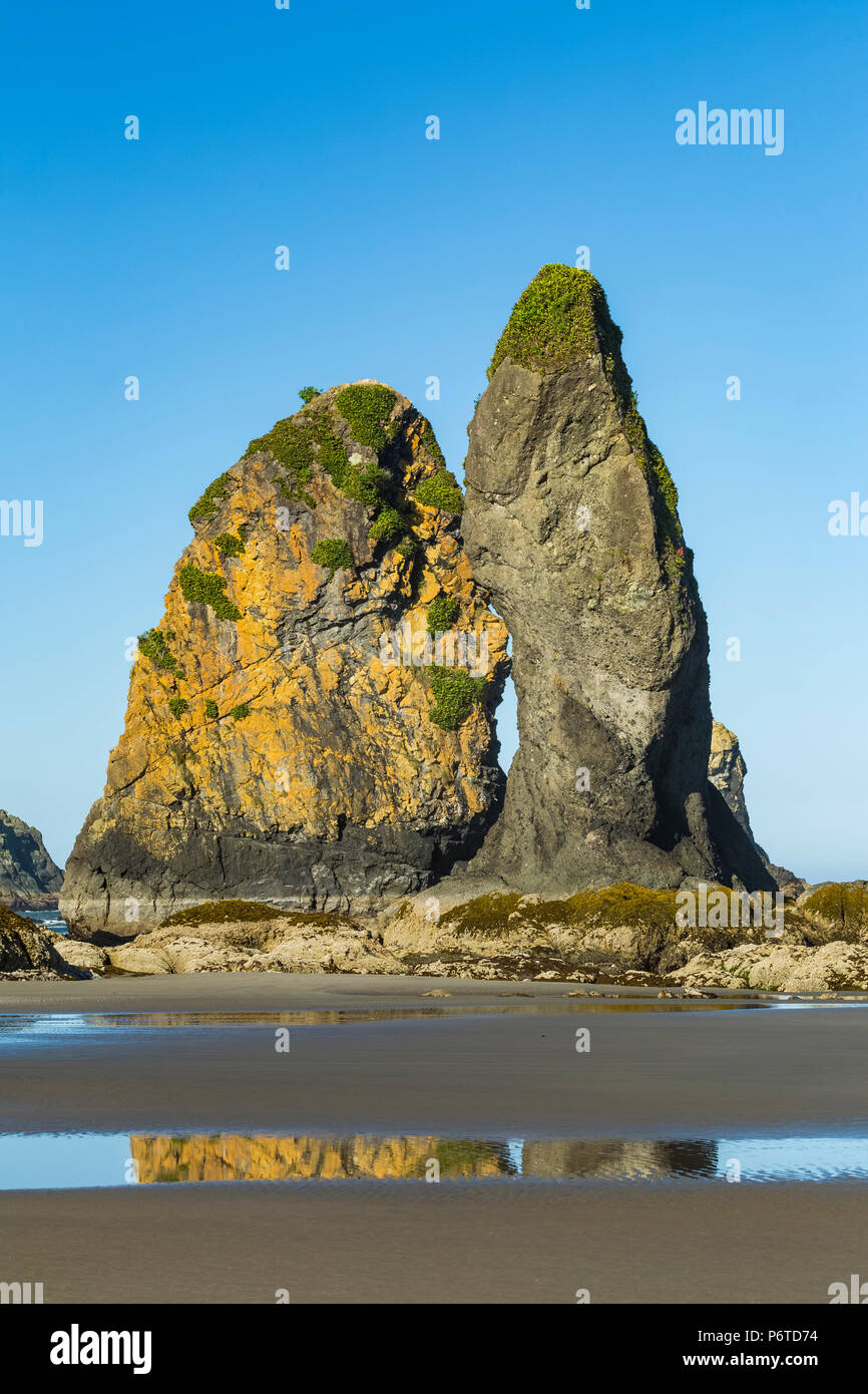 Rock formations of Point of Arches along Shi Shi Beach at low tide ...