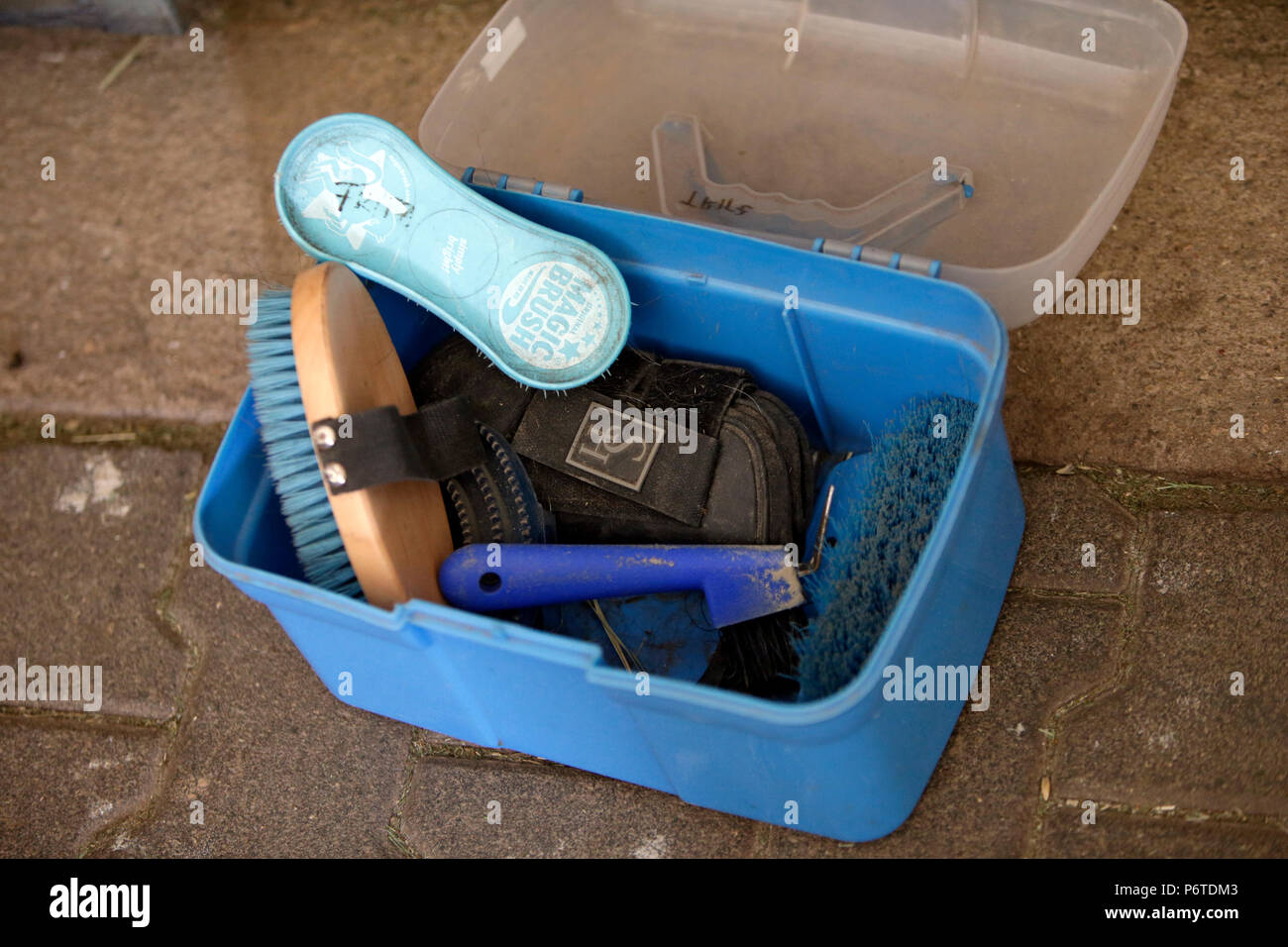 View plaster hi-res stock photography and images - Alamy