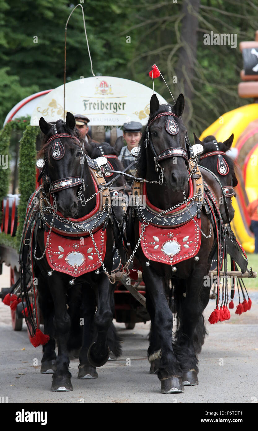 Freiberger hi-res stock photography and images - Alamy