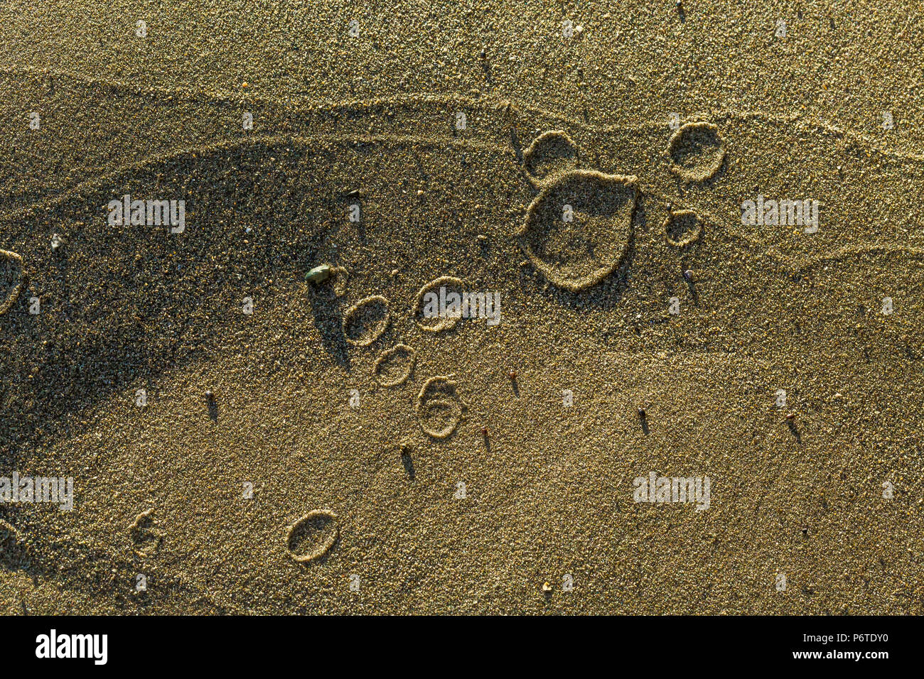 Water drop craters caused by dripping from an overhead cliff at Point ...