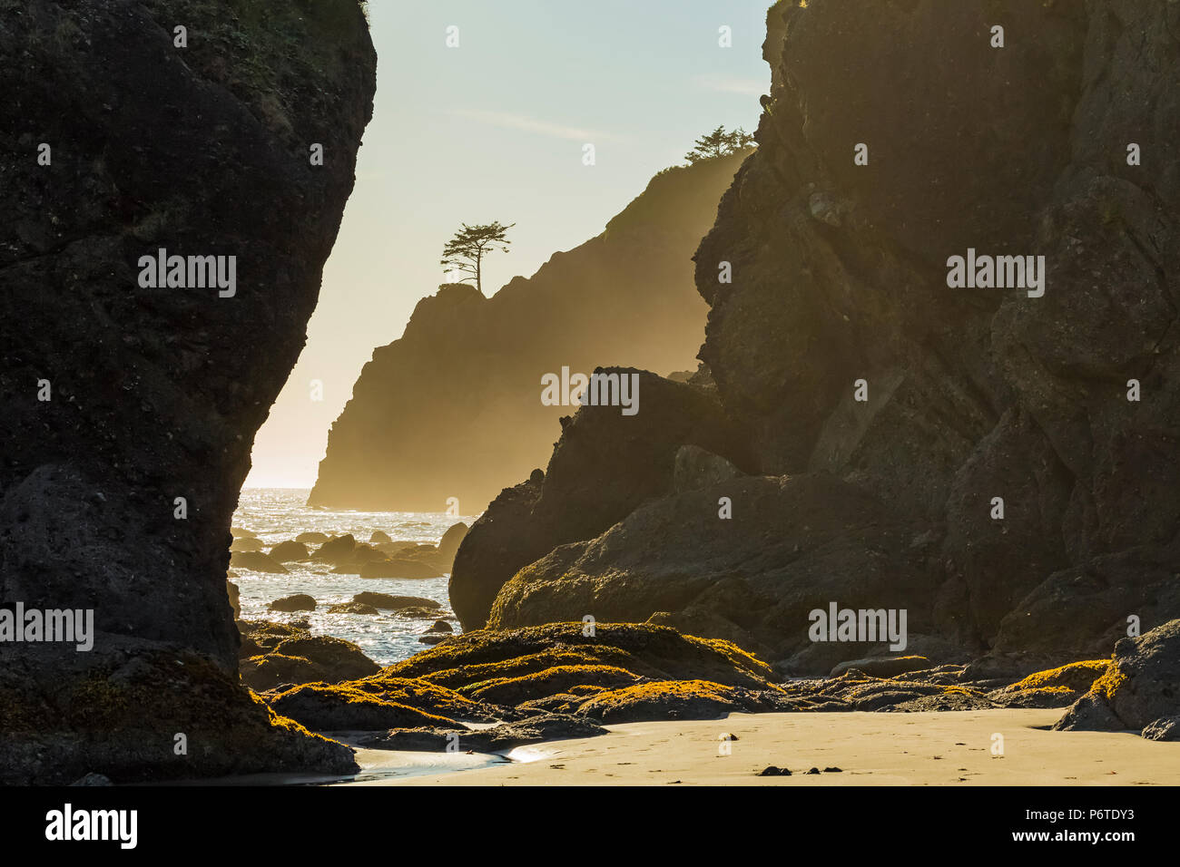 The rocks of Point of Arches nearing sunset, viewed from Shi Shi Beach ...