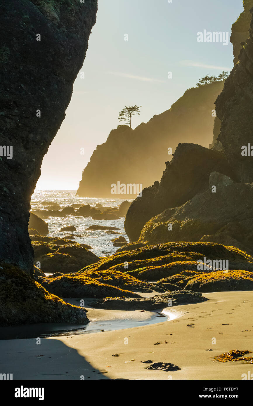 The rocks of Point of Arches nearing sunset, viewed from Shi Shi Beach ...