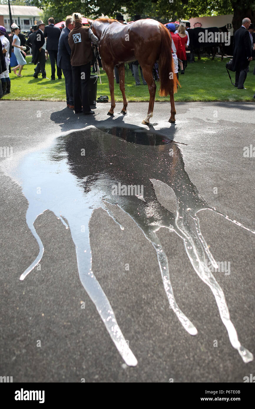 Puddle on the ground hi-res stock photography and images - Alamy