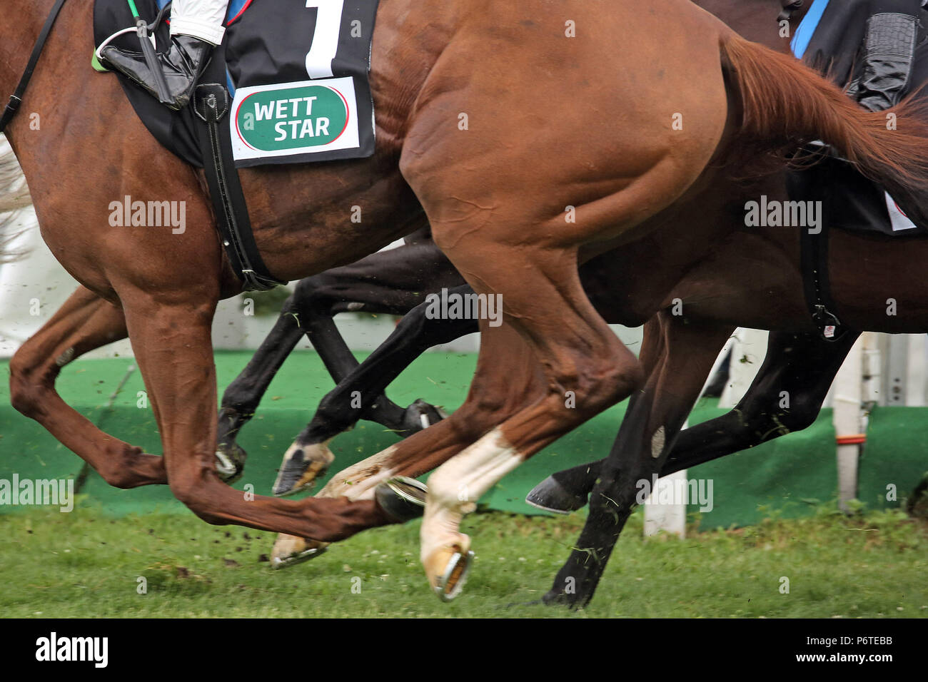 Galloping horse hooves hi-res stock photography and images - Alamy