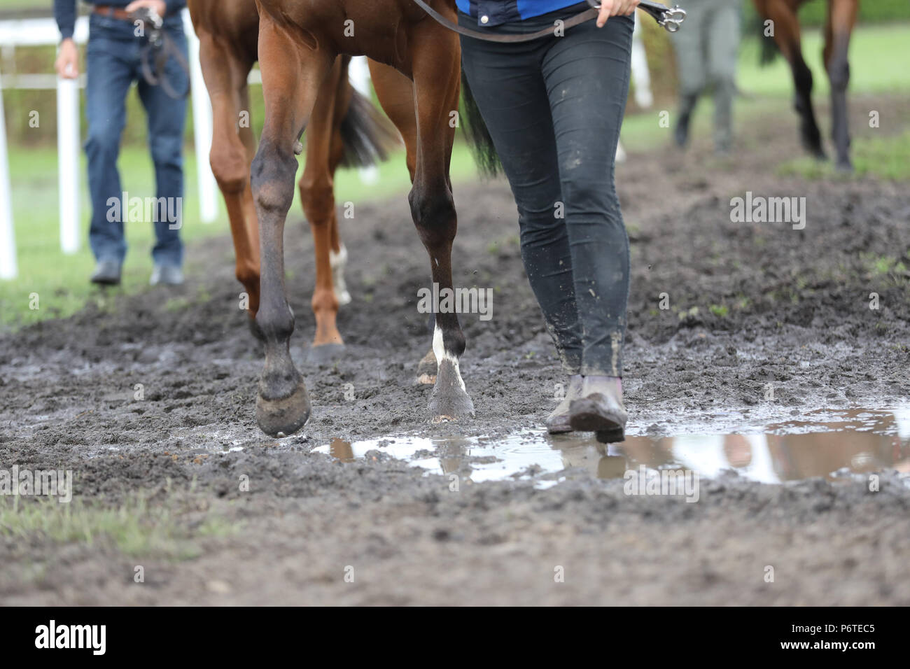 Human legs hi-res stock photography and images - Alamy