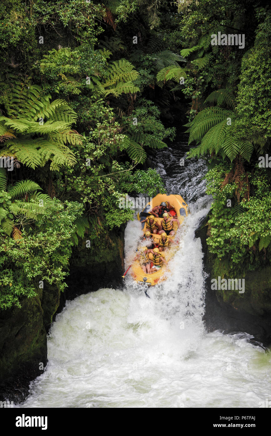 Whitewater rafting over the Okere Falls in Rotorua, New Zealand Stock ...