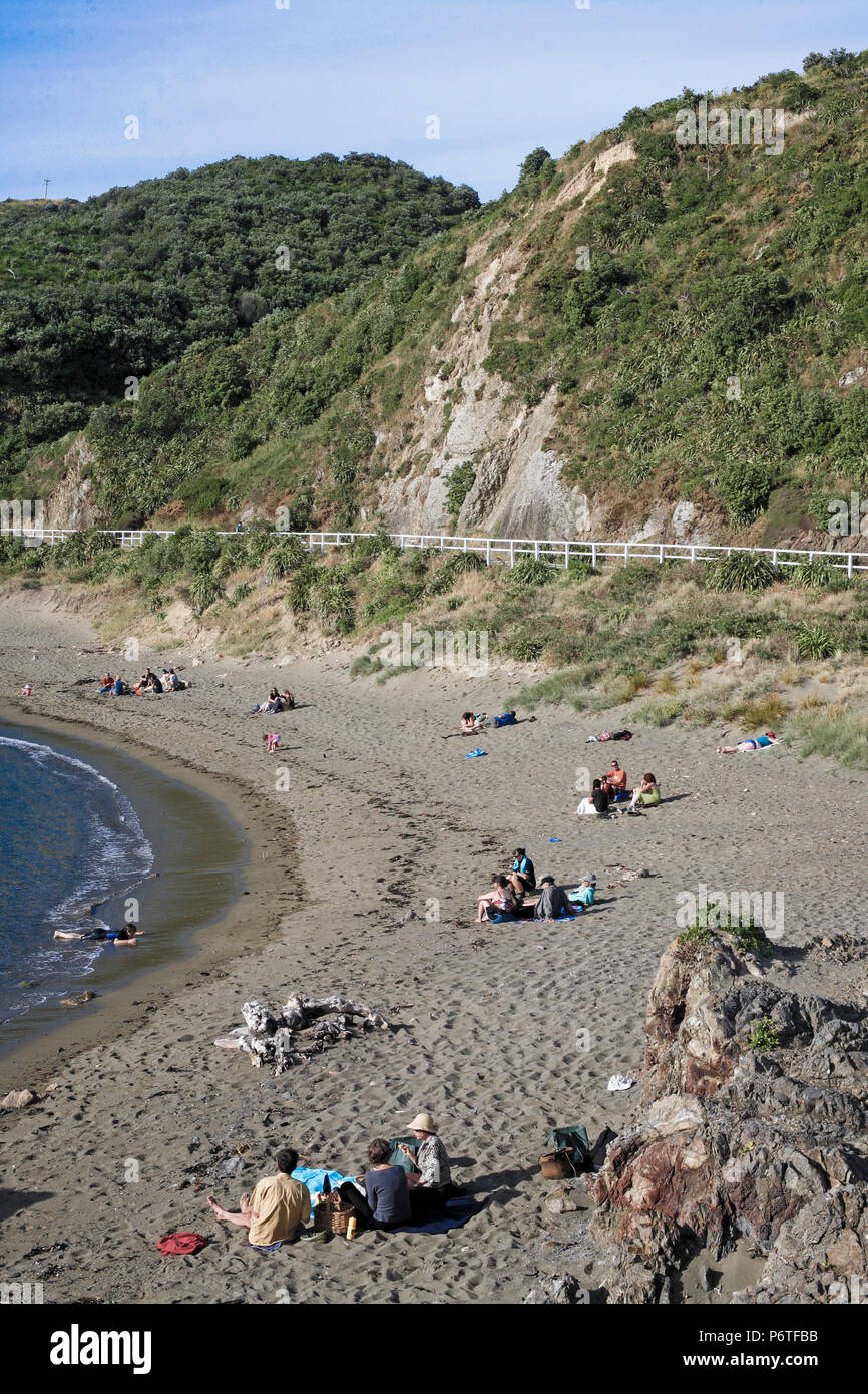 People sitting on the beach at Princess Bay, Wellington south coast ...
