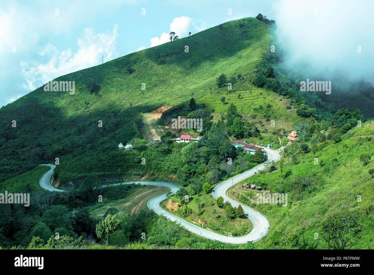 Golden field winding path hi-res stock photography and images - Alamy