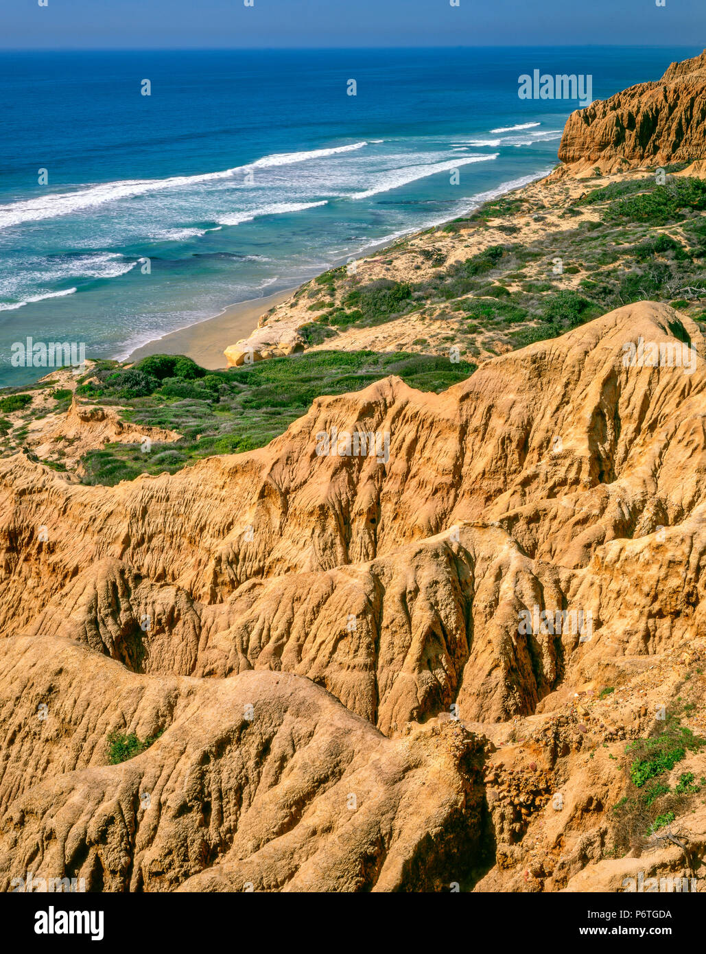 Torrey pines state park hi-res stock photography and images - Alamy