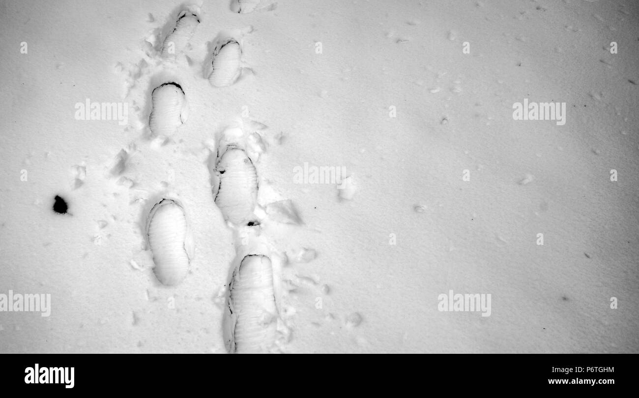 Birds imprint in the snow Black and White Stock Photos & Images - Alamy