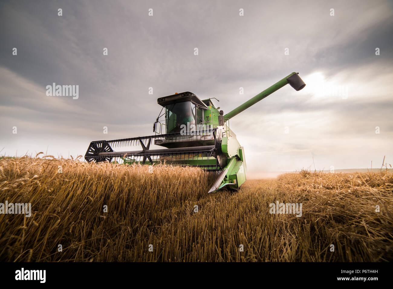 Harvesting of early grains hi-res stock photography and images - Alamy