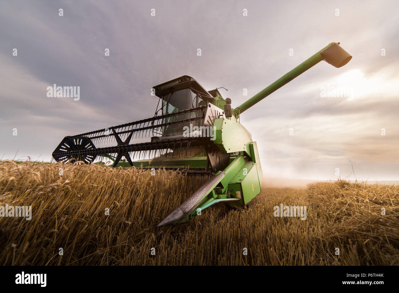 Harvesting of early grains hi-res stock photography and images - Alamy