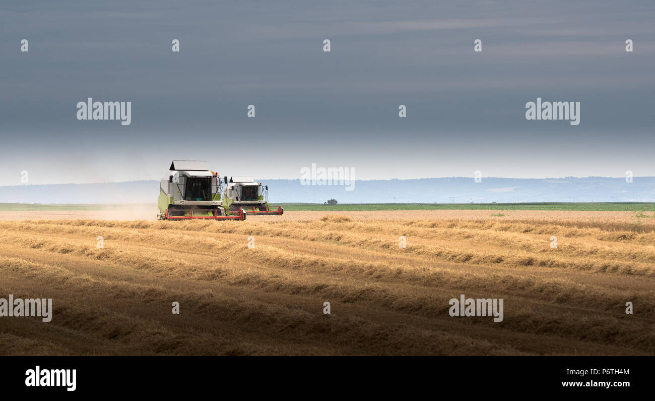 Harvesting of early grains hi-res stock photography and images - Alamy