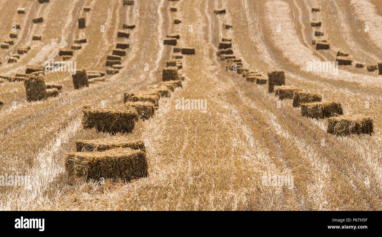 Texture stack hay bales hi-res stock photography and images - Alamy