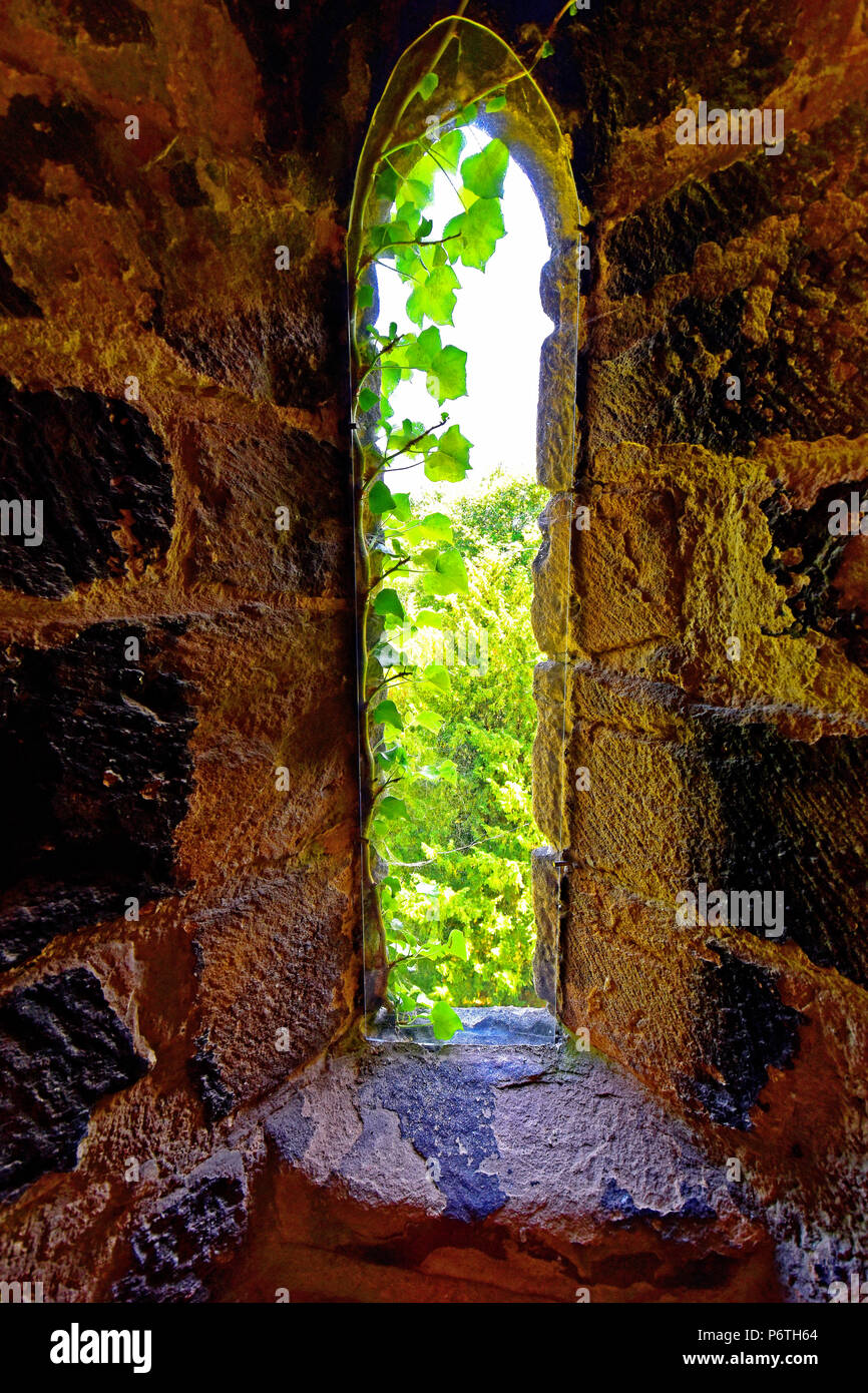 Nt oriel window hi-res stock photography and images - Alamy