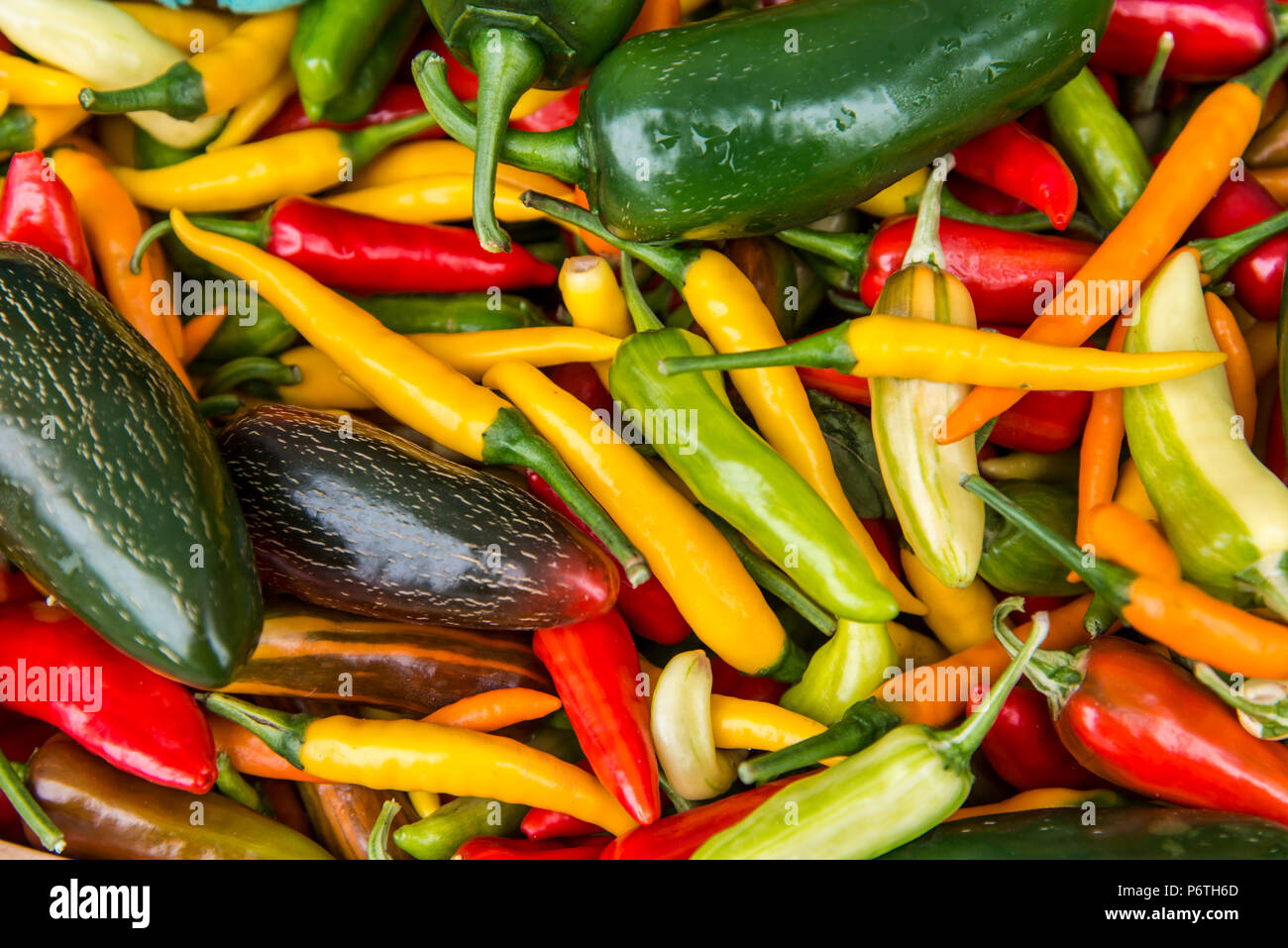 Beautiful sort hi-res stock photography and images - Alamy