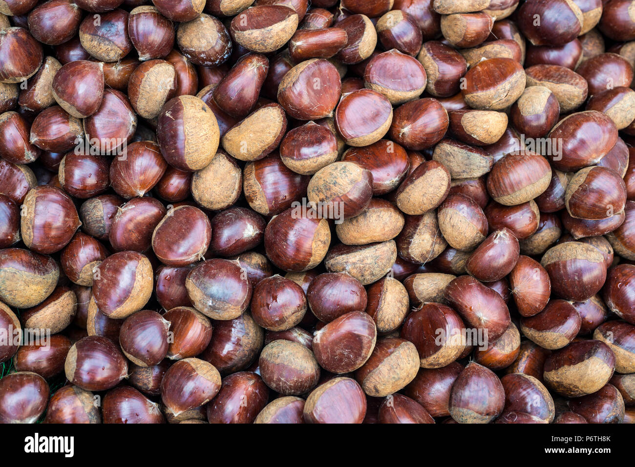 Sweet ripe chestnuts fruit hi-res stock photography and images - Alamy