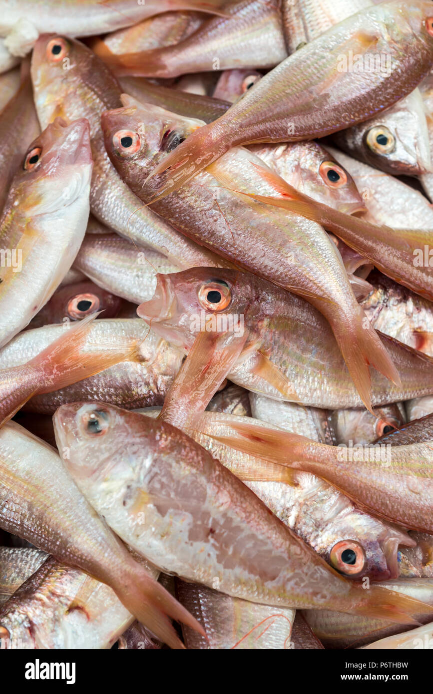 Stack fresh fishes hi-res stock photography and images - Alamy