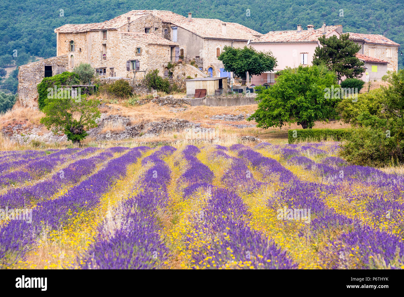 A farmhouse near Banon, Provence, France Stock Photo - Alamy