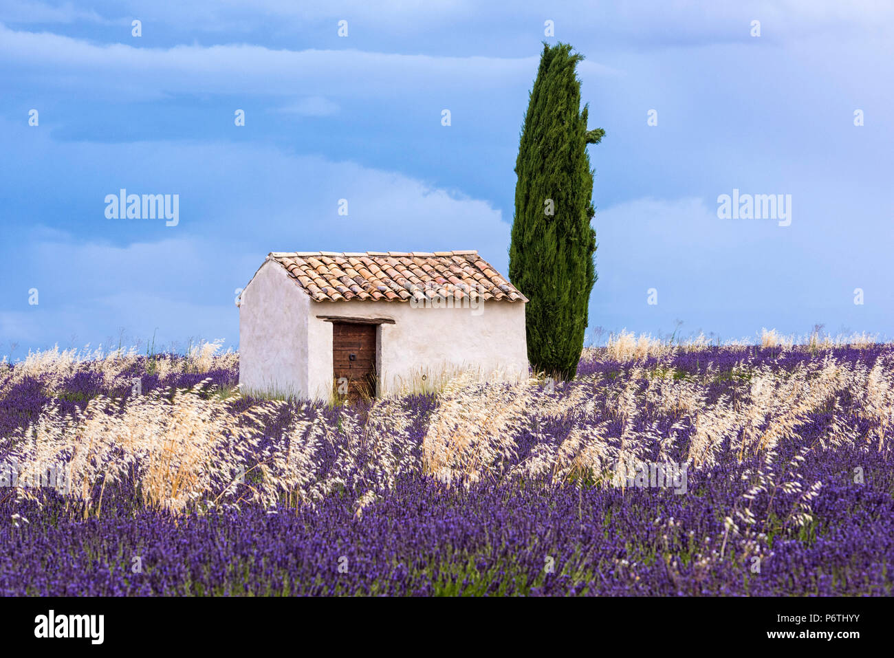 Old french barns hi-res stock photography and images - Alamy