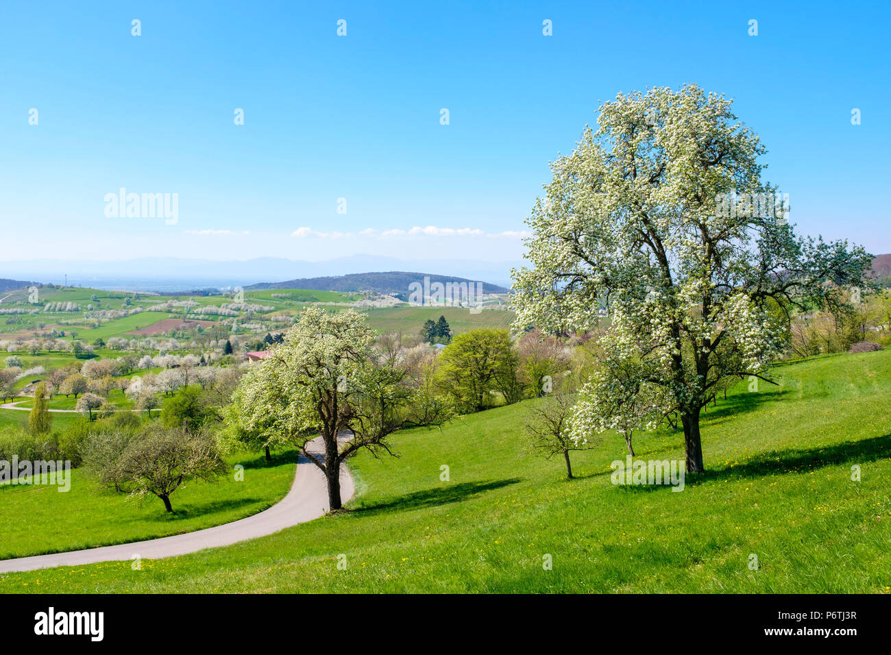 Schallsingen hi-res stock photography and images - Alamy