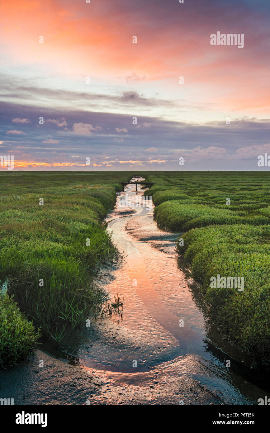 Tidal canals hi-res stock photography and images - Alamy