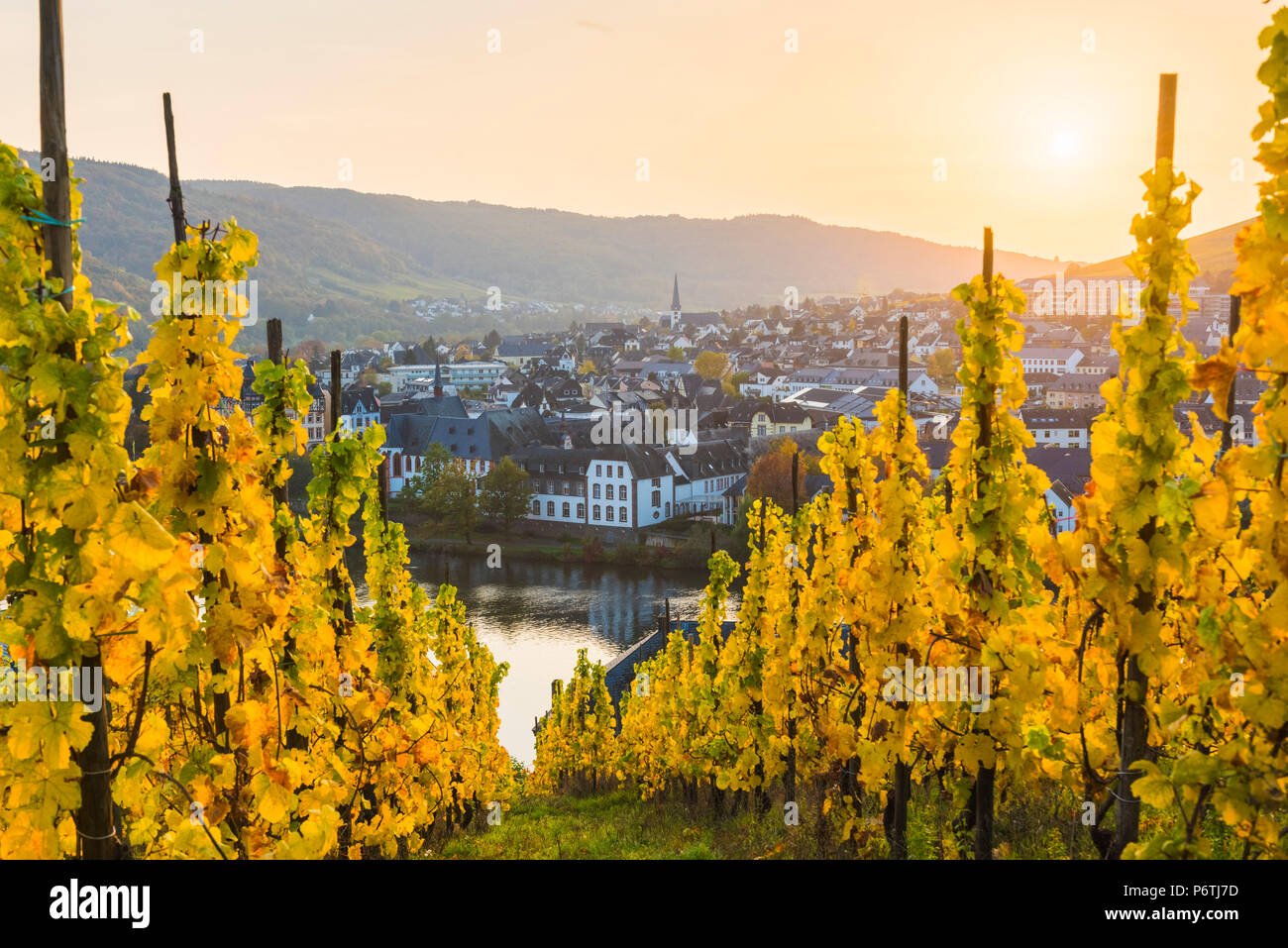 District bernkastel wittlich hi-res stock photography and images - Alamy