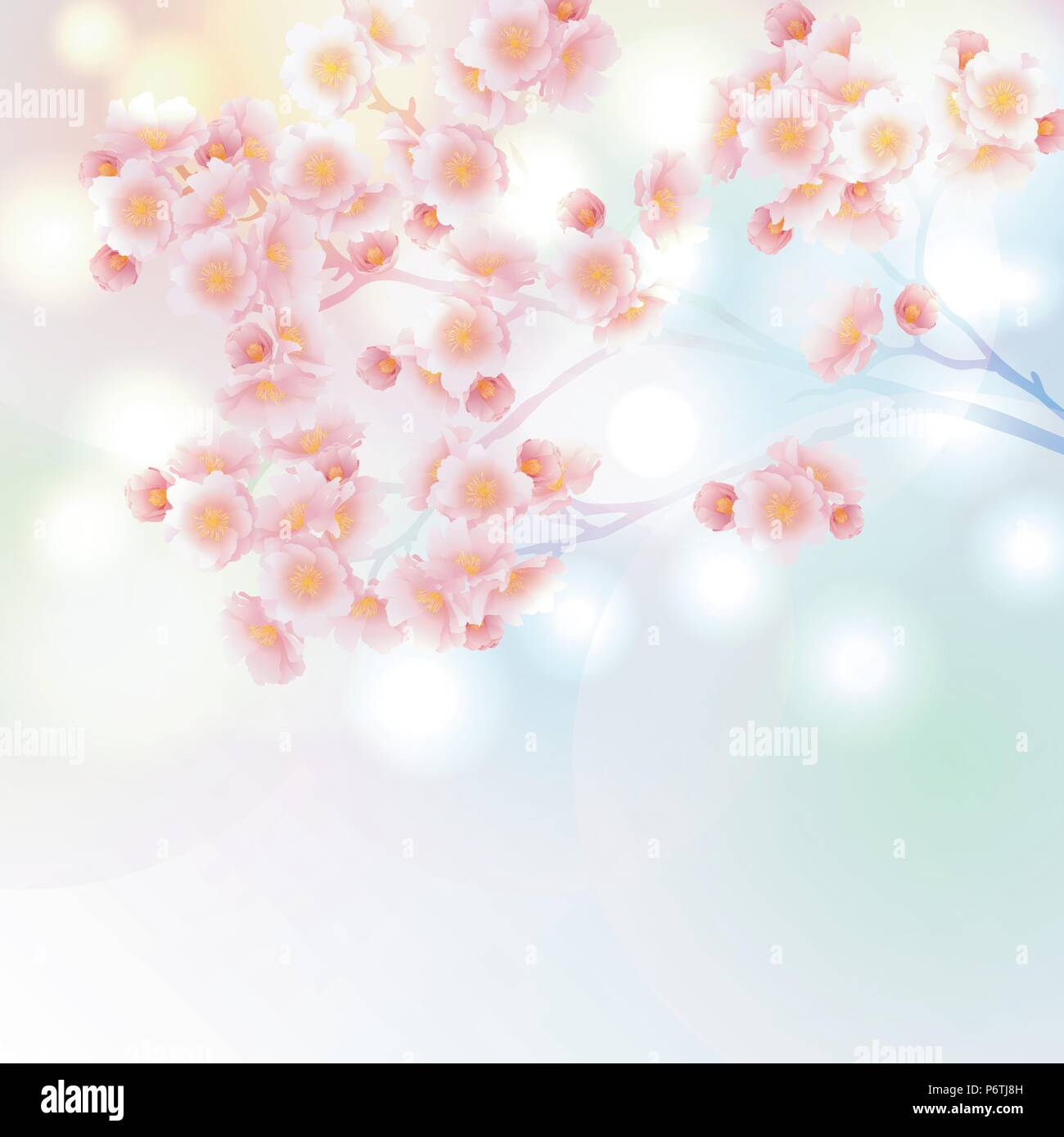 Nature illustration with blossom branch of pink sakura flowers. Vector ...
