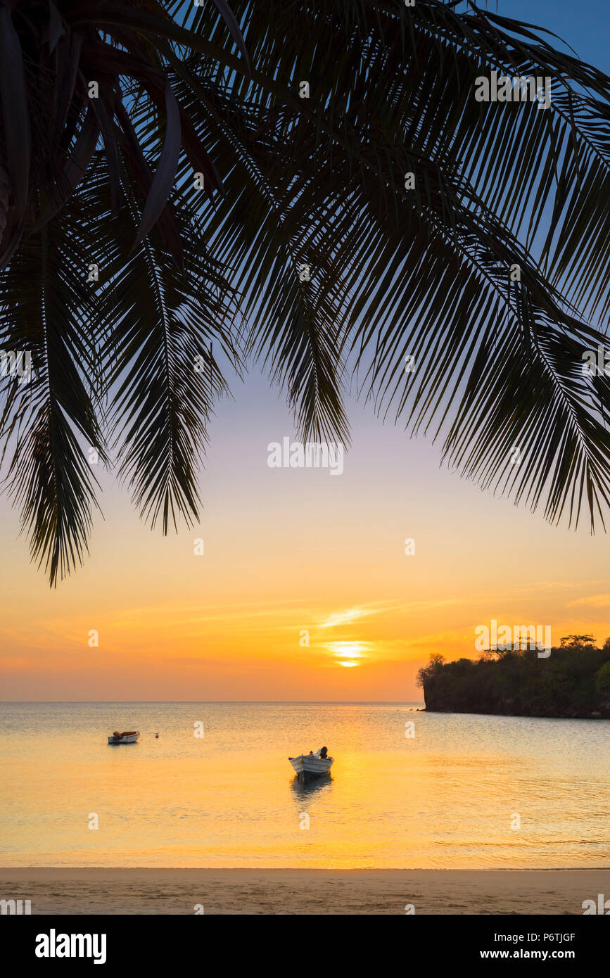 Caribbean, Grenada, Morne Rouge Beach Stock Photo - Alamy