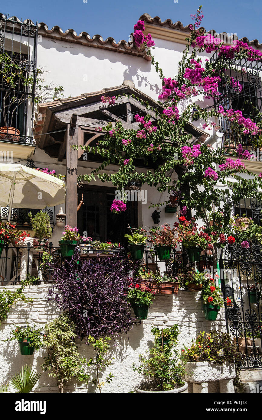 Maria de los hi-res stock photography and images - Alamy