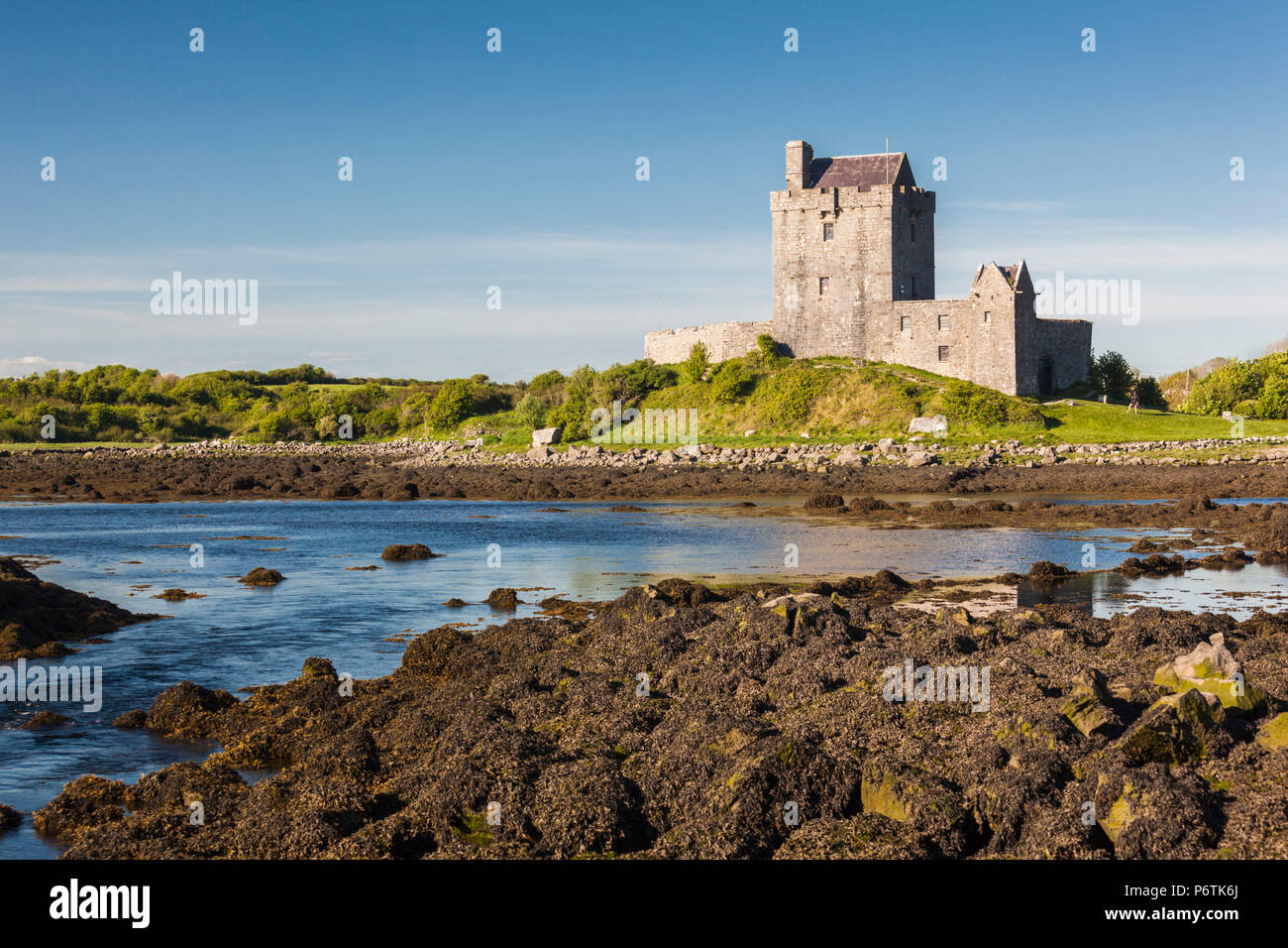 Ireland, County Galway, Kinvara, Dunguaire Castle Stock Photo - Alamy