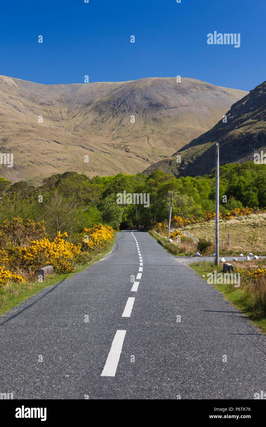 Ireland, County Mayo, Doolough Valley, country road R 335 Stock Photo ...