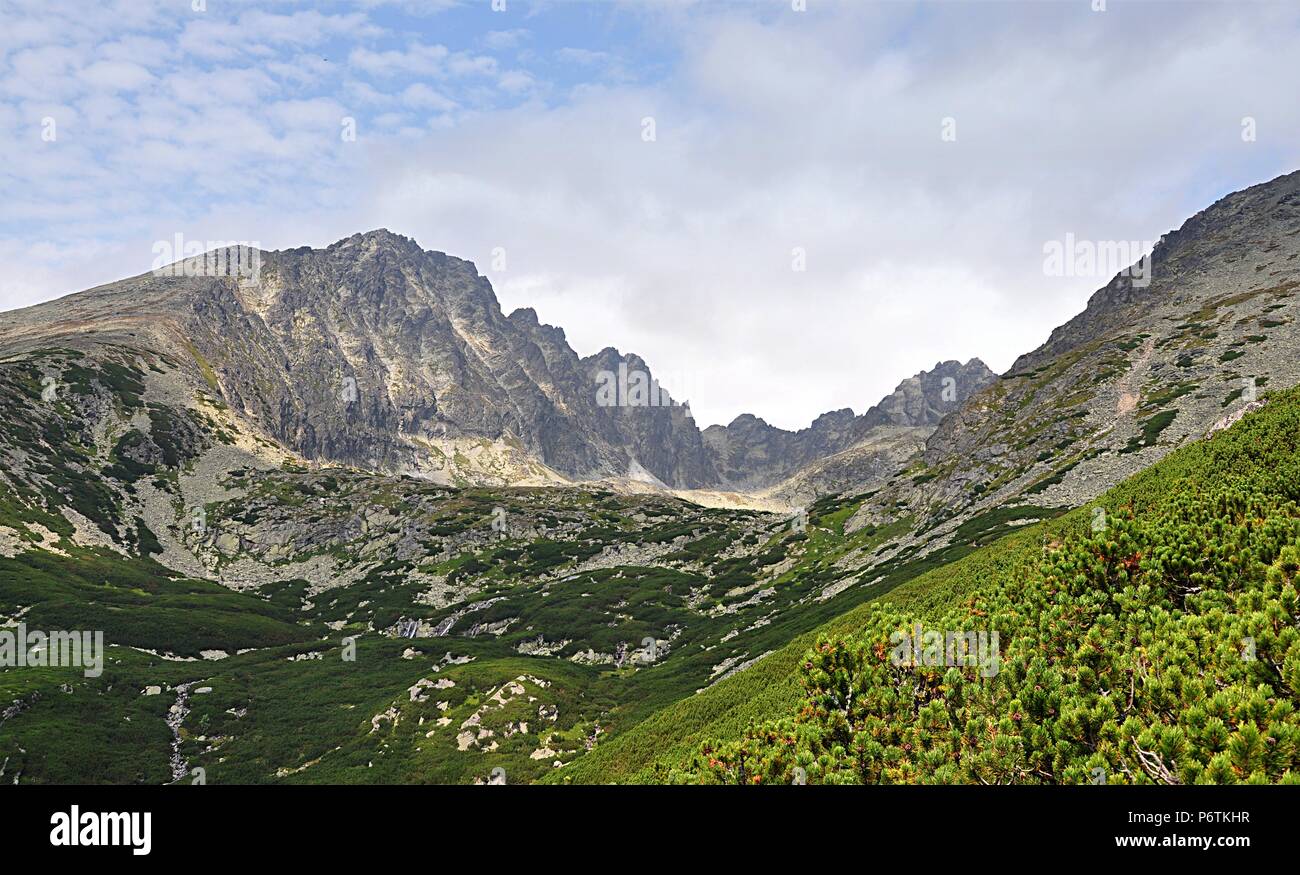 Fauna of slovakia hi-res stock photography and images - Alamy