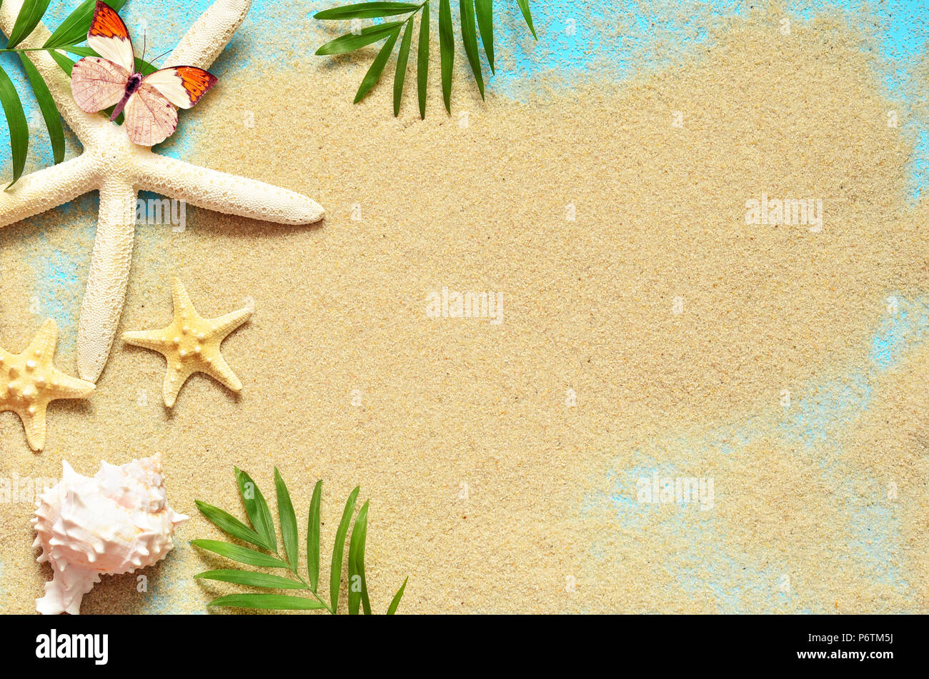 Summer beach. Starfish and seashell on the sand and palm branch Stock ...