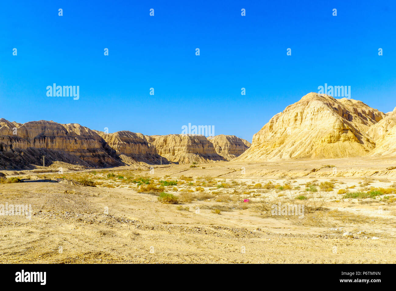 Hakikar hi-res stock photography and images - Alamy
