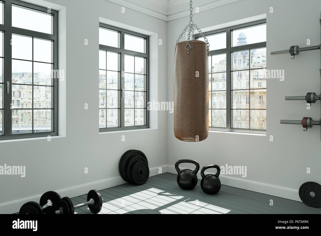 Workout Room with different Weight Lifting Equipment dumbbell, barbell ...